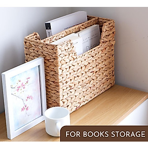 Chi An Home Wicker Magazine Basket, Water Hyacinth Basket for Files, Rattan Newspaper Rack Skinny Wicker Basket for Books & Files, Divided Hyacinth Basket With Handle (Medium)