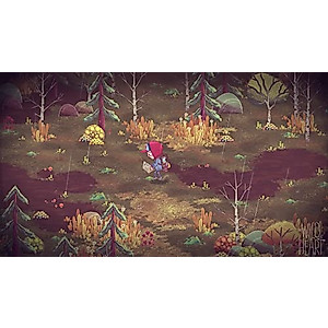 The Wild at Heart (Nintendo Switch)