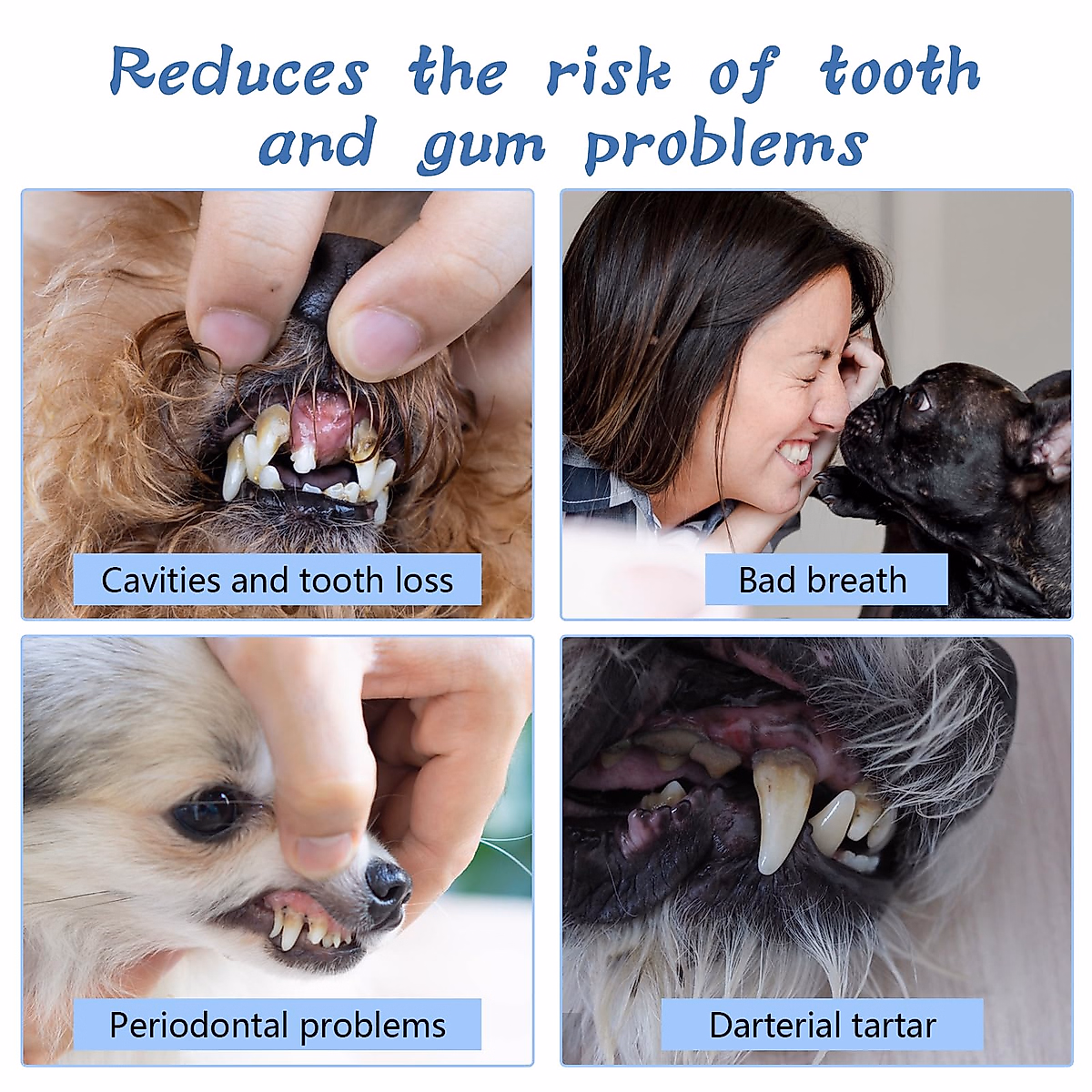 Teaaha 4 Pack Small Dog Toothbrush Super Soft Round&Pointed Puppy Tooth Brush with Soft Bristles for Dogs Cats and Kittens Teeth Cleaning & Protecting, Pet Dental Convenient Care Tooth Brushing Kit