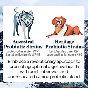 OTIS Digestive Health for Dogs | Ancestral and Heritage Probiotics - Intestinal Gut Health Support with DHA and EPA | Healthy Dog Supplements | 8 fl oz