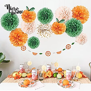 NICROHOME Little Cutie Baby Shower Decorations, 12 PCS Light Orange Green Tissue Paper Pom Poms for Party Decorations, Birthday, Spring Summer Party, Fruit Themed Parties