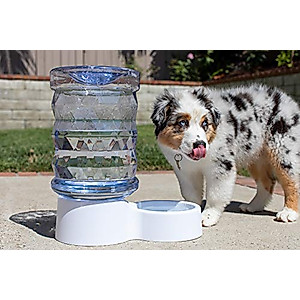 PetFusion H2O Gravity Pet Water Dispenser. Durable 2.5 Gallon Water Feeder. Automatic Water Station for Cats & Small, Medium, Large Dogs, Transparent (PF-GW1)
