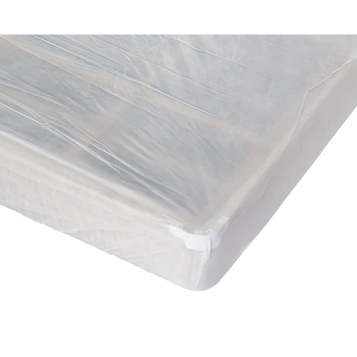 ActiveGuard Mattress Liner Bed Bug (Queen)