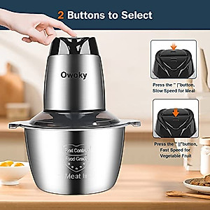 Food Processors Electric, Meat Grinder 2L Stainless Steel Meat Blender Food Chopper for Meat, Onion, Vegetables with 2pcs Bi-Level Blades, 2 Speed, 500W, 8 Cup (Meat Grinder with Single bowl)