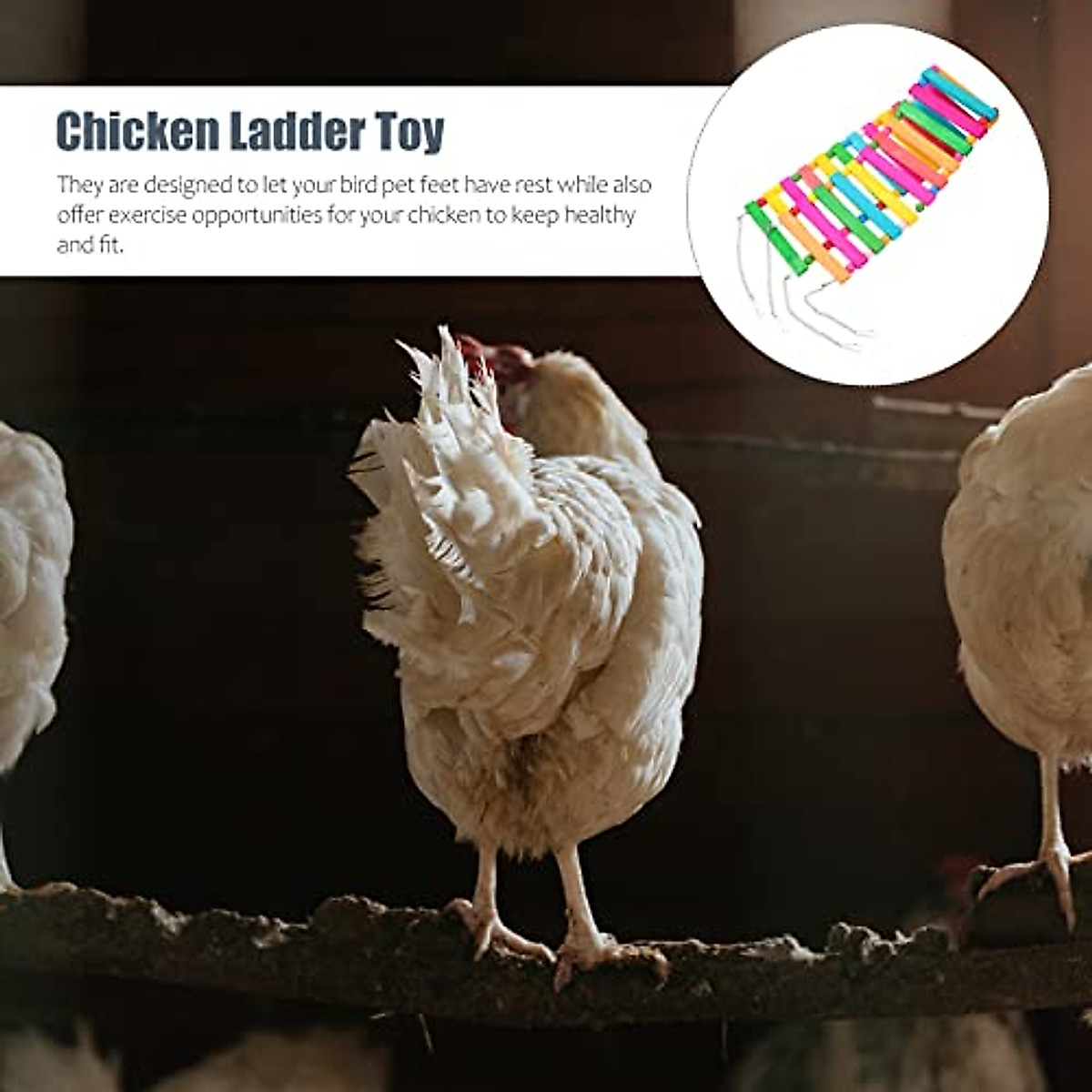 PATKAW Wooden Toys Parrot Toys Parrot Toys of 2 Chicken Swing Toy Pet Chicken Swing Toys Wood Chicken Swing Chicken Swing Toys Chicken Ladder: Climbing Climbing Toys Climbing Toys Parakeet Toys