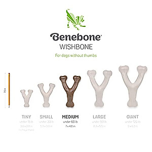 Benebone Wishbone Durable Dog Chew Toy for Aggressive Chewers, Real Bacon, Made in USA, Medium