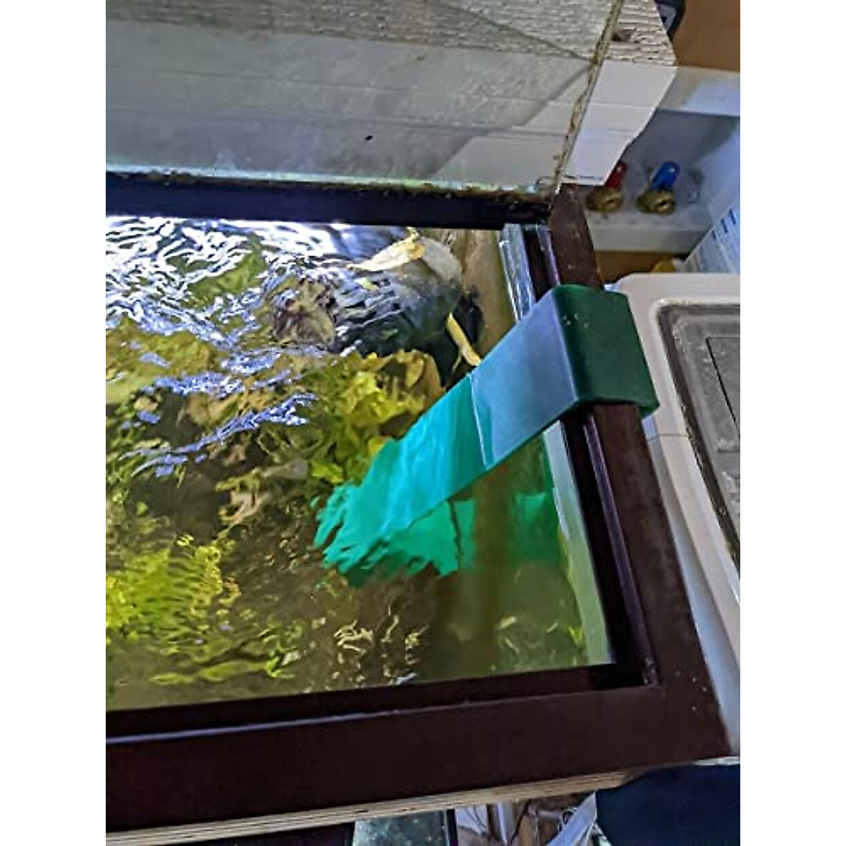 Hang on Top Angelfish & Discus Breeding Slate. Green Acrylic Simulates Amazon Sword Leaf Providing Spawning Surface for Egg Laying. Fish Room Tested & Breeder Approved. Made in USA