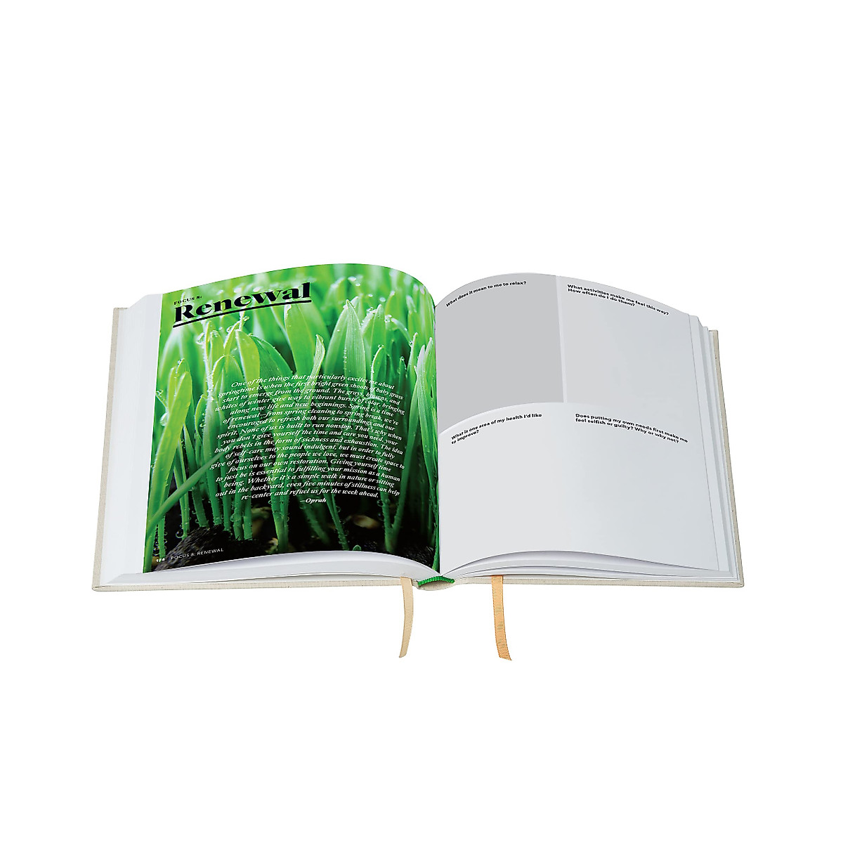 Oprah's The Life You Want™ Planner: Part weekly planner, part intention journal, this powerful undated guide will help you set a vision for your life and intentions for each week