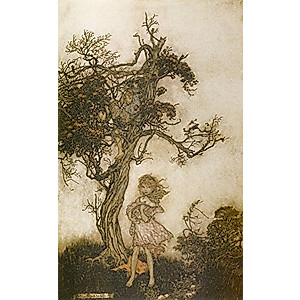 Rip Van Winkle 1905 Ragged & wild children Poster Print by A Rackham (18 x 24)