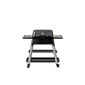 Everdure FORCE 2 Burner Gas Grill, Liquid Propane Portable BBQ Grill with Die-Cast Aluminum Body and Fast-Ignition Technology, 388 Square Inches of Grilling Surface, Adjustable Height, Graphite