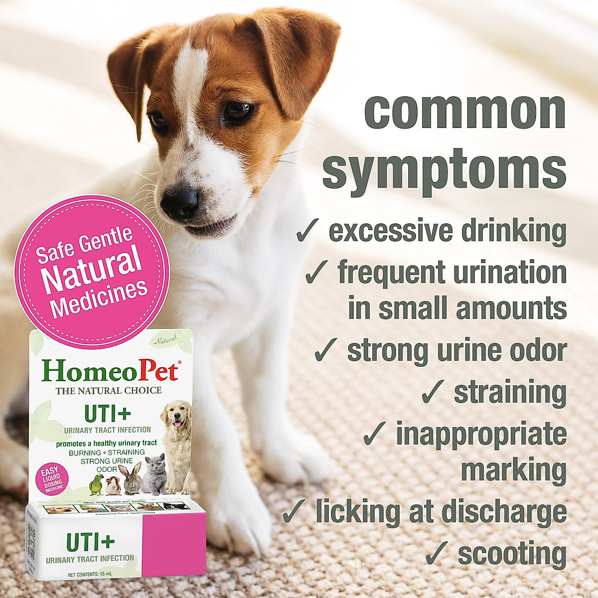 HomeoPet UTI Plus Urinary-Tract Relief, Supportive UTI Medicine for Dogs, Cats, and Other Pets, 15 ml