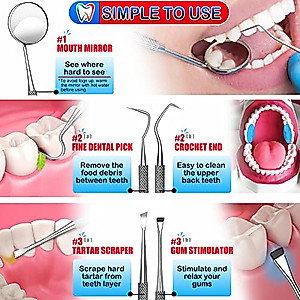 Dental Tools, Teeth Cleaning Tools, Professional Dental Hygiene Kit, Plaque Remover for Teeth, Stainless Steel Tooth Scraper Plaque Tartar Cleaner, Dental Scaler - with Case