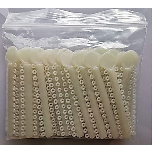 Orthodontic Ligature Ties Orthodontic Elastomeric O-rings Braces Rubber Bands(1040pcs) (Pear White)
