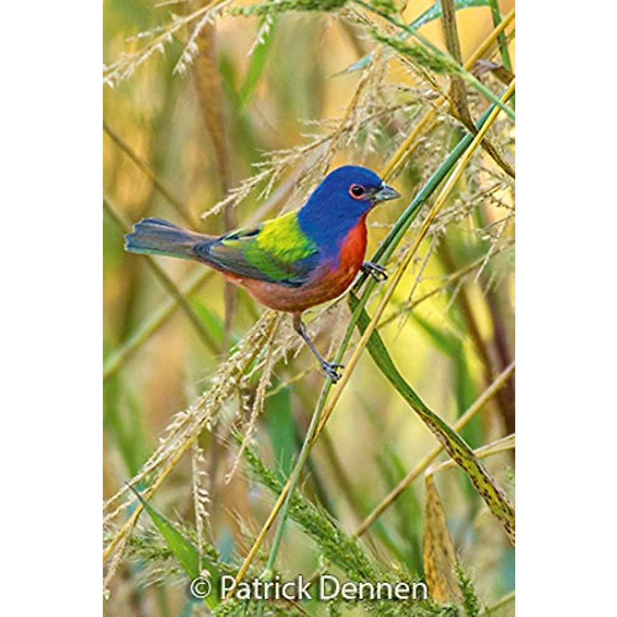 Sierra Club Engagement Calendar 2021