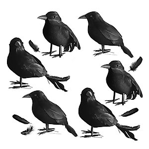 kemooie 6 Packs Real Feathered Halloween Black Crows, Handmade Realistic Crow with Real Feathers Raven Birds for Yard Tree Garden Patio Indoor Outdoor Halloween Decorations