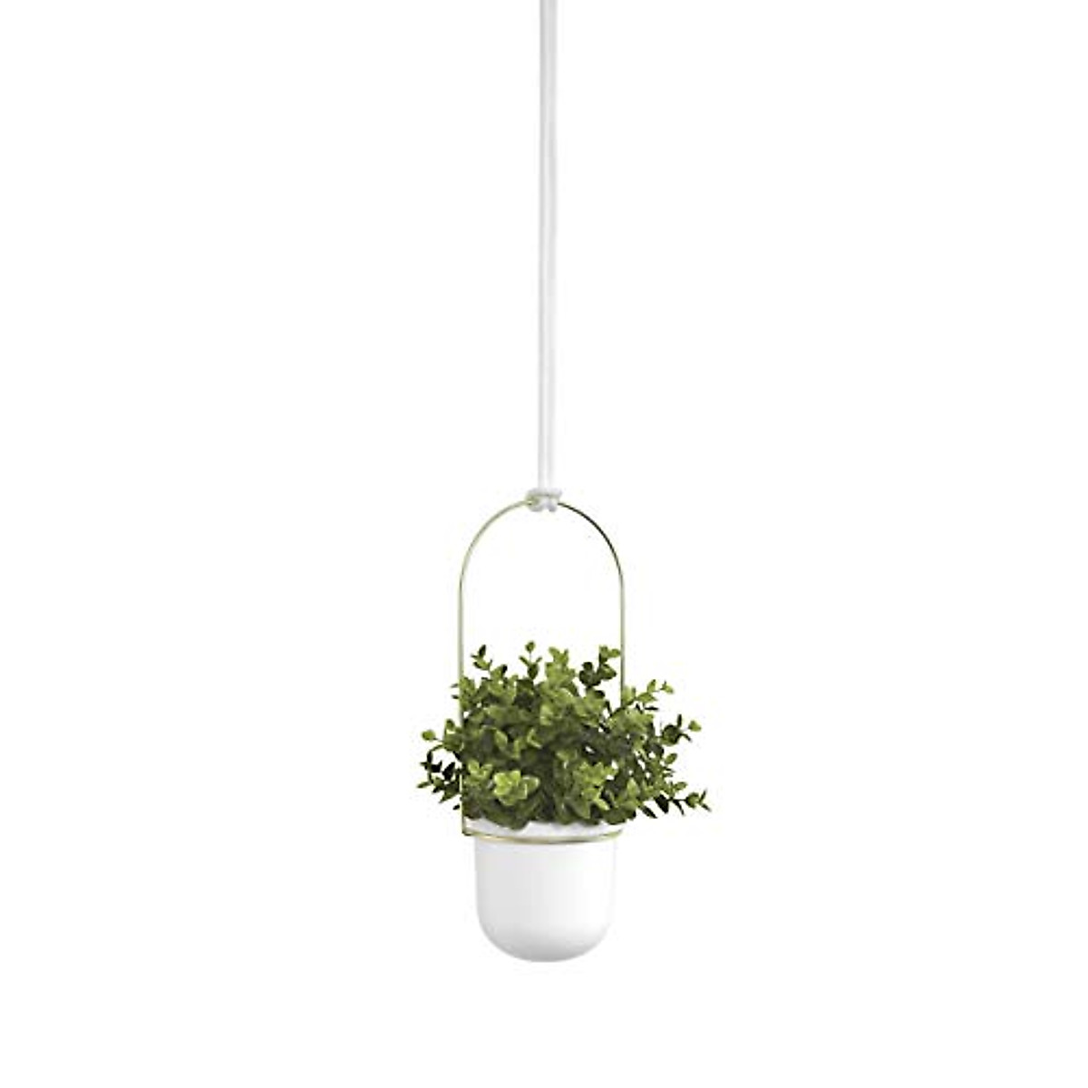 Umbra 1011748-524 Triflora Hanging Planters for Indoor Plants or Herbs, White/Brass,42" Width