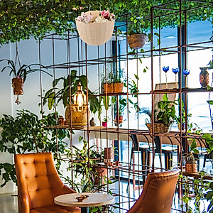 Happyyami 1 Pc Flowerpot Plastic Flower Pot Hanging Planter Orchid Planter pots Ceramic Plant Pot Garden Wall Flower Pot Patio Hanging Plant Pot Creative Flower Pot Wall-Mounted Potted Juicy