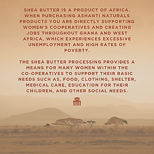 Ashanti Naturals Scented Whipped Shea Butter | Unrefined Shea Butter from Ghana, Coconut and Almond Oil | Creamy, Moisturizing, Soothing (Midnight Amber Souffle, 8 oz)