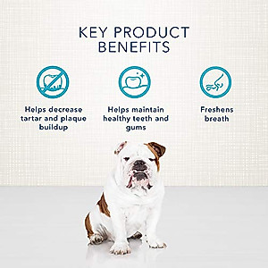 Blue Buffalo Dental Bones Large Natural Dental Chew Dog Treats, (50 lbs and up) 36-oz Bag Jumbo Pack