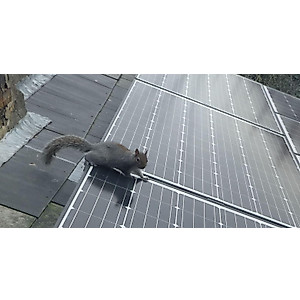 Squirrel Guard 8" Kit. 100 ft. PVC Coated Galvanized Steel Roll with 100 Aluminum Fasteners