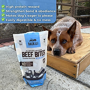 Back 40 Dogs Beef Bites - All Natural Premium Air Dried Dog Training Treats - Free Range Beef, Real Meat - High Protein Dog Food Toppers & Dog Treat - Puppy Essentials, Made in USA - 16oz