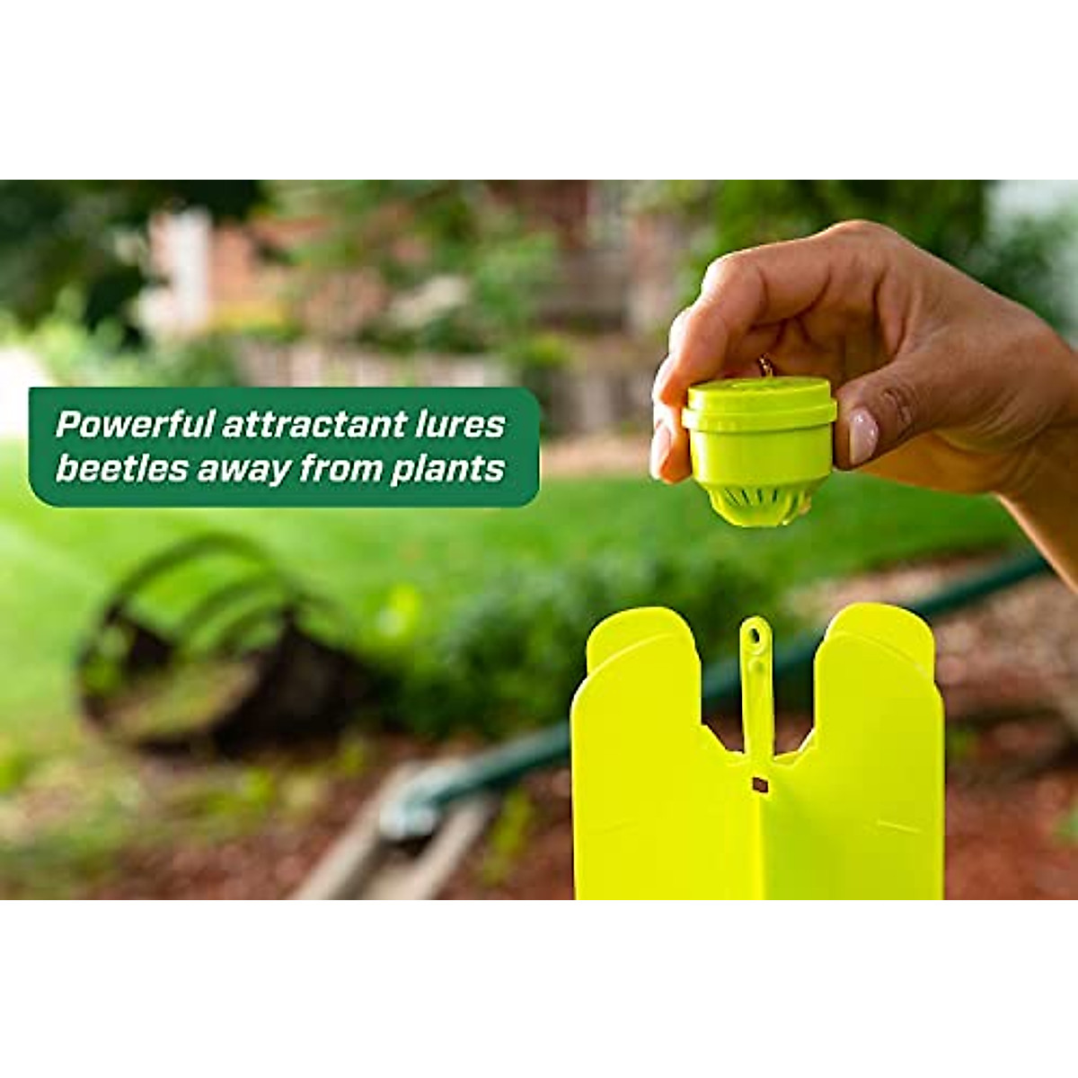 Rescue JBTZ-DB12 One Season Reusable Japanese & Oriental Beetle Traps - Quantity 5