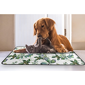 Eucalyptus Rug Eucalyptus Kitchen Rug Mint Green Anti Fatigue Mats for Kitchen Floor Sage Green Kitchen Mat Under Sink Mats Non Slip Soft Standing Mats Runner Carpet 39 X 20 Inch