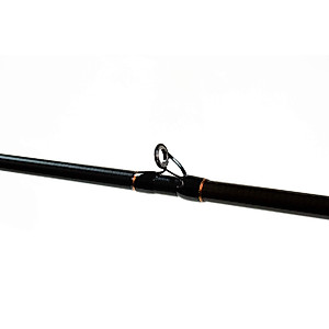 Phantom Favorite Casting Rod