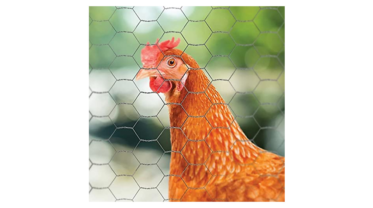 24-Inch Galvanized Poultry Netting - Durable & Versatile