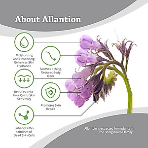 PROUDPET Bamboo Charcoal Pet Toothpaste. Effectively removes Oral Odor and Reduces The Chance of Calculus and Plaque Formation.