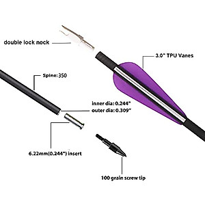 IRQ Archery 31Inch Carbon Arrow Practice Hunting Arrows with Removable Tips for Compound & Recurve Bow(Pack of 12)