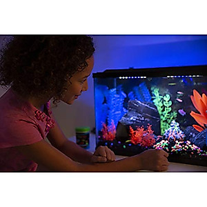 GloFish Aquarium Gravel, Fish Tank Gravel, Black With Fluorescent Accents, Compliments GloFish Tanks, 5 lb Bag