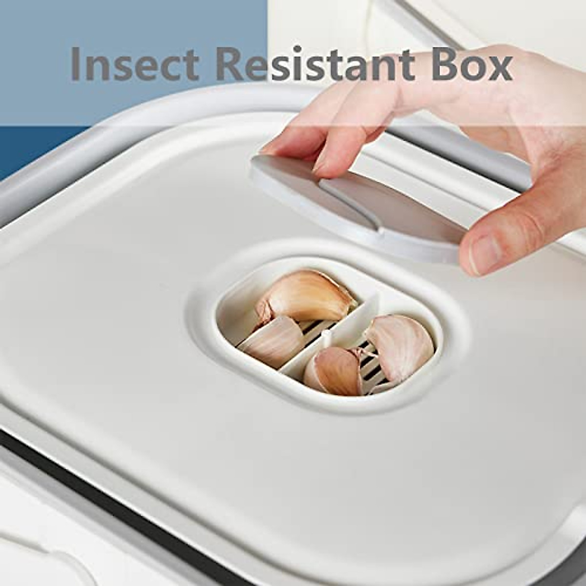 HOMHOLDON 22 Lbs Rice Dispenser,Large Sealed Grain Storage Container with Measuring Cup Food Dispenser Kitchen Organizer for Rice,Beans,Grains,Cereal Dry Food,Pet Food(Large)