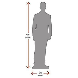 Guy Fieri Mini Cutout