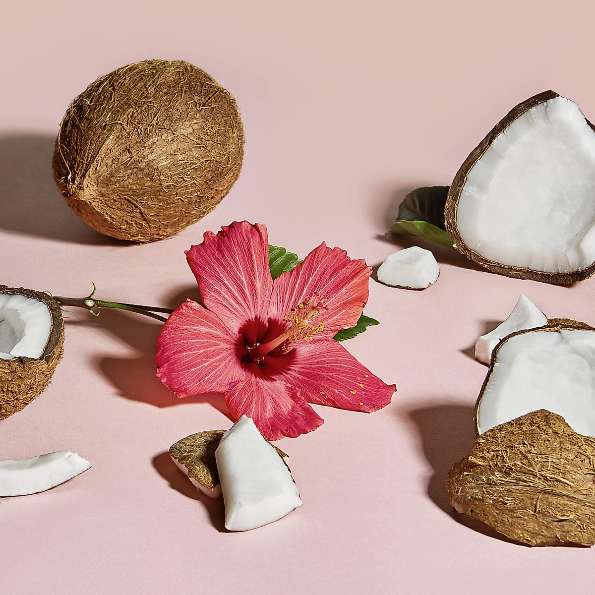 SheaMoisture Shampoo Curl and Shine for Curly Hair Coconut and Hibiscus Paraben Free Shampoo 13 oz