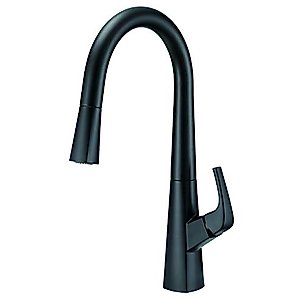 DANZE D454418BS Kitchen Faucet, Satin Black