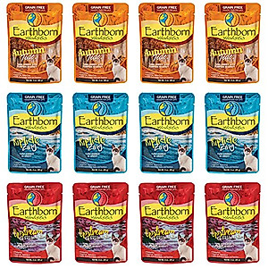 Earthborn Holistic Grain Free Wet Cat Food in Gravy Pouches - 3 Ounces Each - 3 Flavors - Riptide Zing, Autumn Tide, and Upstream Grill (12 Pouches Total)