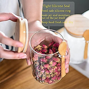 Glass Jars with Airtight Lid and Spoon,Glass Food Storage Jars Containers,Overnight Oats Containers with Lids,Decorative Kitchen Jars for Coffee/Tea/Sugar/Spice,Bath Salt Containers 18Oz/530ML(3PCS)