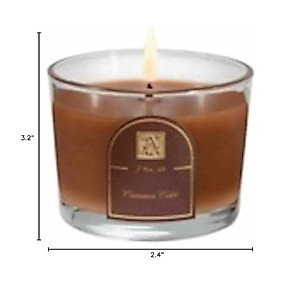 Aromatique Cinnamon Cider Petite Tumbler 4.5 oz Scented Jar Candle