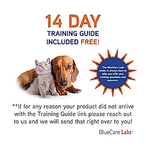 Bitter Apple Spray for Dogs to Stop Chewing Furniture & Paws - 5X Strength Pet Corrector Anti Chew Deterrent No Chew Spray Alcohol Free Non Toxic & No Sting - Indoor & Outdoor Safe, Made in USA, 8oz.