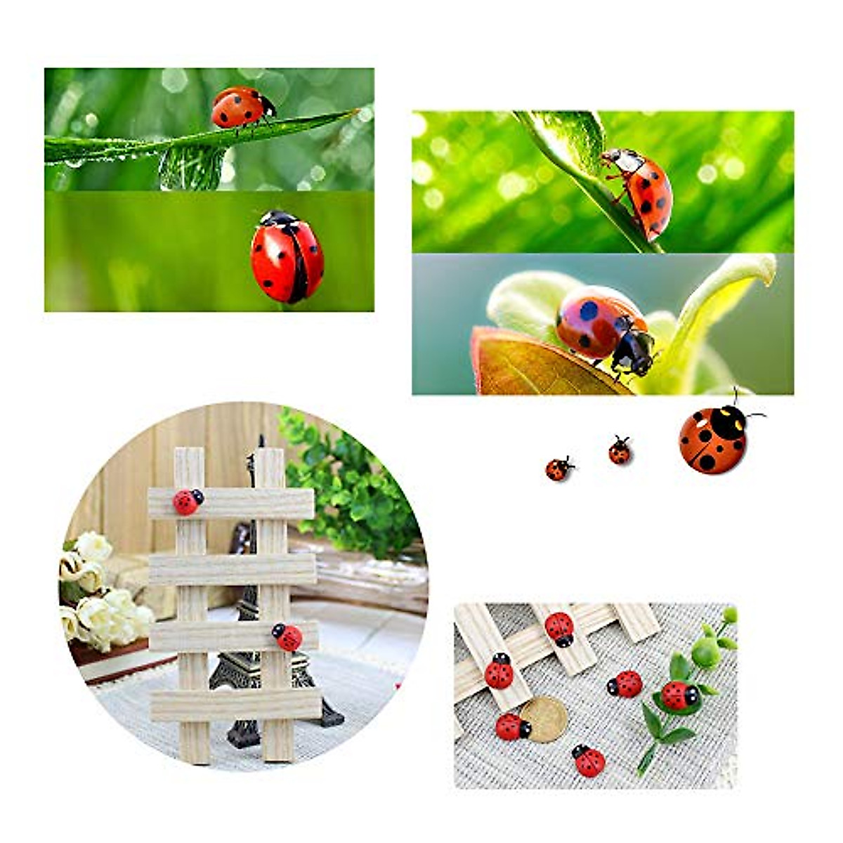 200 Pcs Mini Wooden Ladybugs Stickers with 3 Sizes for Fairy Garden Home Decor