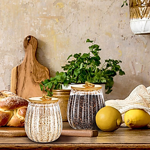 Pinkunn Set of 4 Glass Stripe Jar Glass with Bamboo Spoons 20 Fl oz Overnight Oats Containers with Lids Coffee Sugar Container Set for Kitchen Food Storage Coffee Tea Sugar