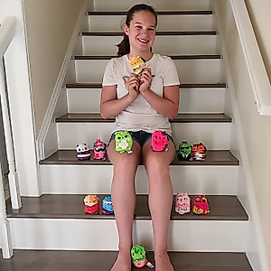 Cats vs Pickles 12pk 4 inch Bean Filled Plushies Assortment Number 10