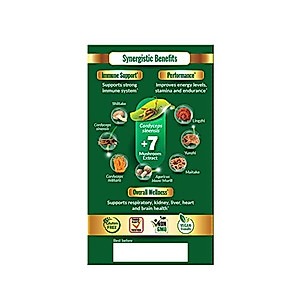 LABO Nutrition Bioactive Organic Cordyceps Ultra – 8 Medicinal Mushroom Supplement, Cordyceps, Reishi, Turkey Tail, Maitake, Agaricus blazei, Shiitake, for Immunity, Energy, Stamina, No Fillers