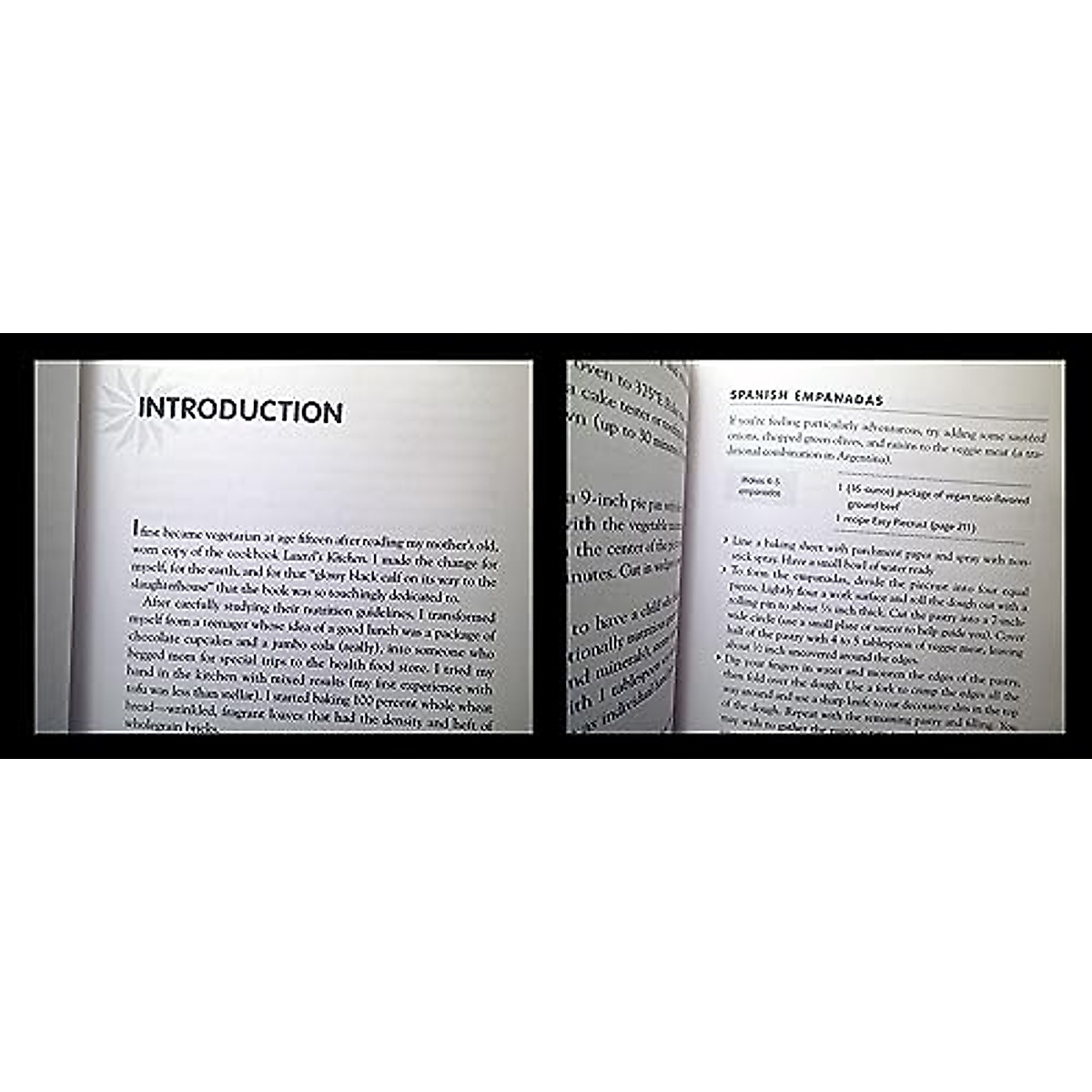 Vegan Lunch Box: 130 Amazing, Animal-Free Lunches Kids and Grown-Ups Will Love!