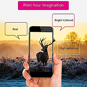 WisePic Remanufactured Ink Cartridge Replacement for Epson 124 T124 to Use with Workforce 435 320 323 325 Stylus NX420 NX430 NX230 NX330 NX125 NX127 NX130 Printer (2 Black)