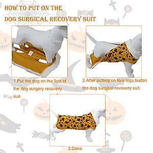 Mairbero Dog Surgery Recovery Suit Female/Male - Onesies for Dogs After Surgery Spay Surgical,Recovery Suit for Dogs Cats After Surgery,Substitute E-Collar & Cone Prevent Halloween