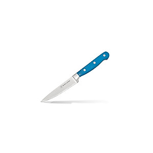 DURA LIVING 3.5 Inch Paring Knife – Essential High Carbon Stainless Steel, Razor-Sharp, Multipurpose Small Kitchen Knife, Ergonomic Handle, Perfect for Precision Tasks, Royal Blue