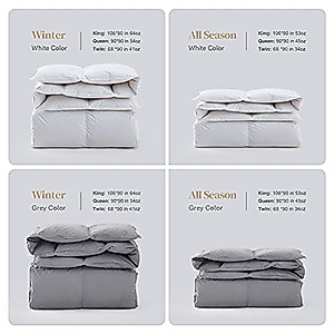 Amazon Brand - Pinzon All-Season Ultra Soft Down Comforter Duvet Insert, 100% Cotton, Medium Warmth For All Season- Grey, King