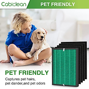 Filter Replacement Sets for Coway Airmega 150 Air Purifier, 2 Green True HEPA and 8 Active Carbon Filter, AP-1019C-FP